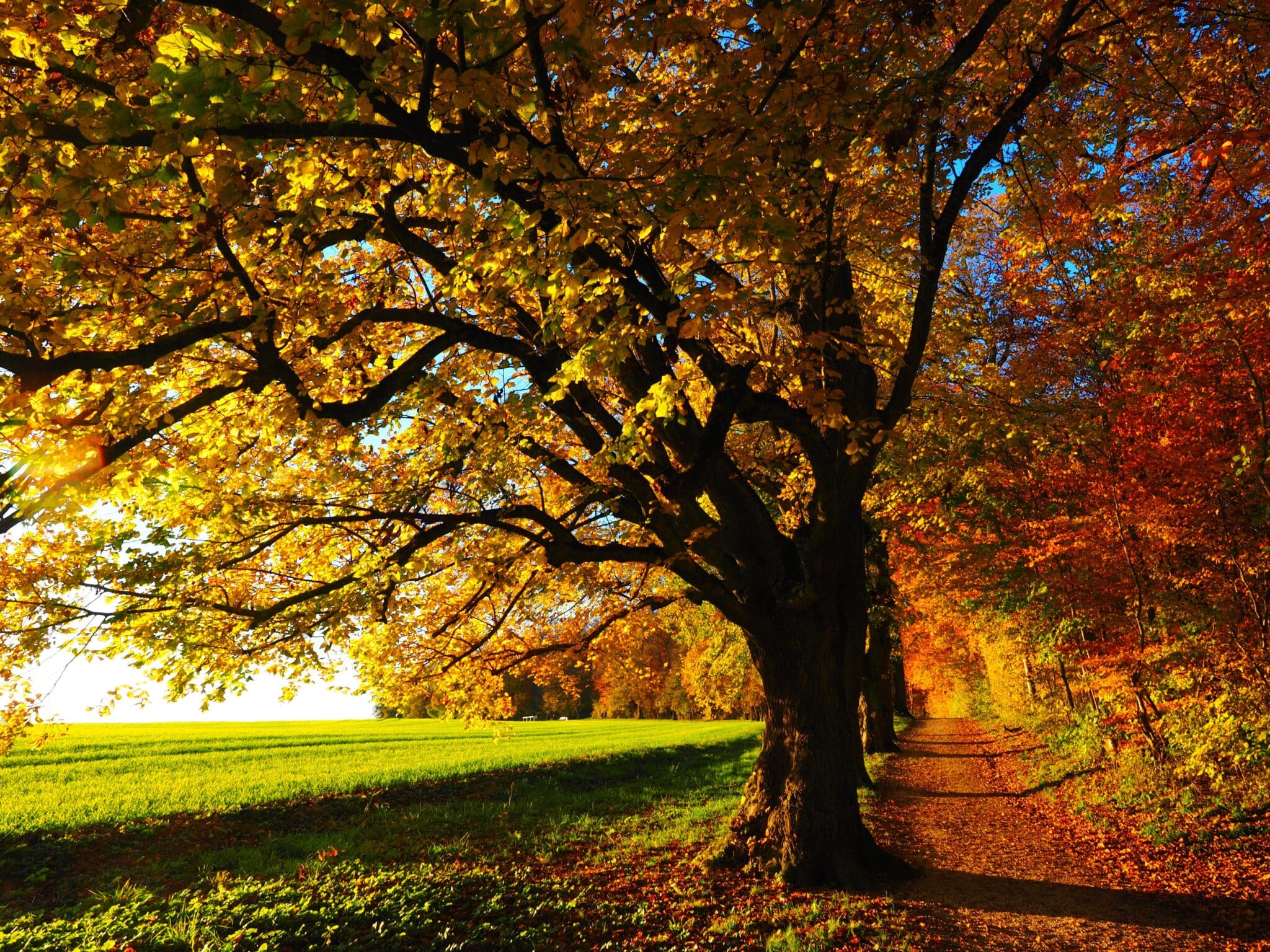 Protect Your Hearing During These Fall Activities | Heuser Hearing ...